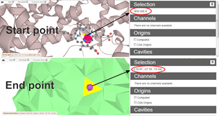 MoleOnline | Documentation